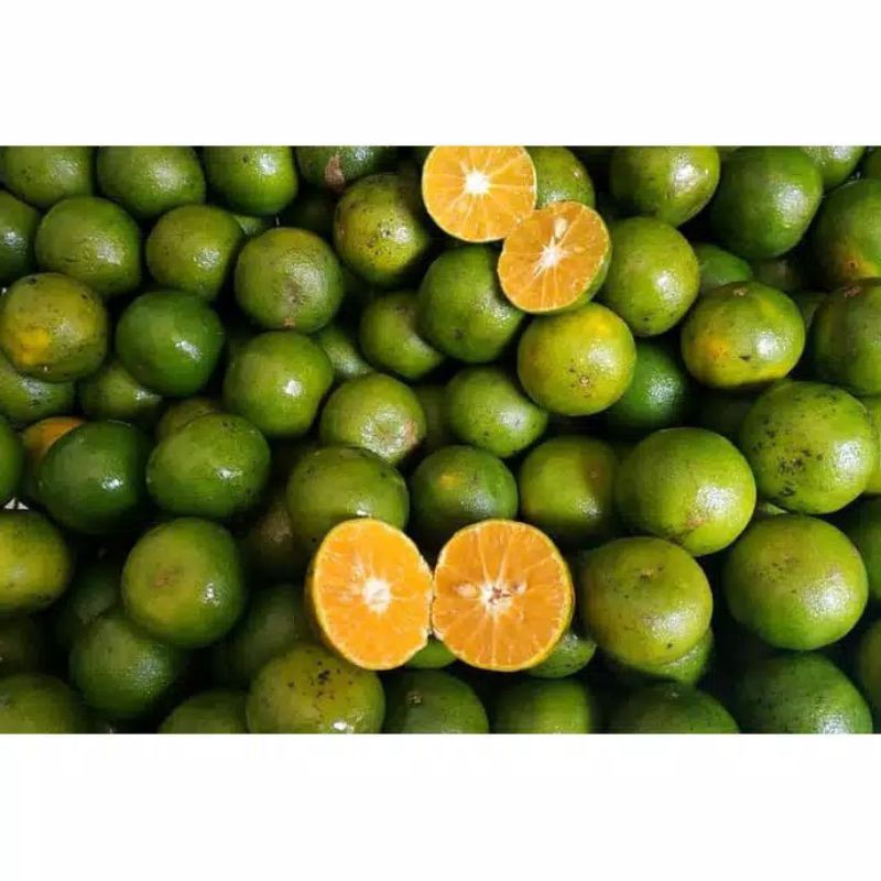 Jual jeruk peras segar 1kg | Shopee Indonesia