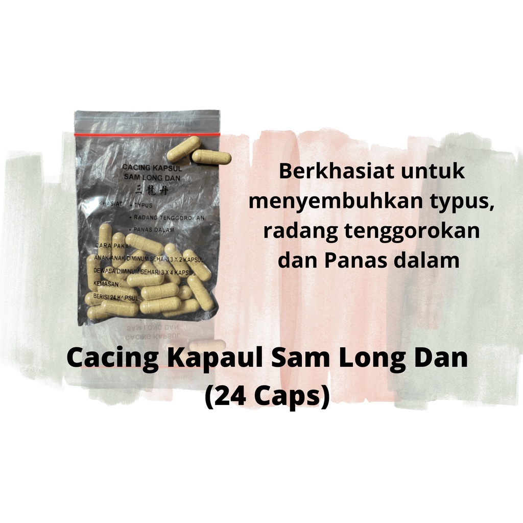 Jual Cacing Kapsul Sam Long Dan (24 Caps) obat tifus tyfus panas dalam ...