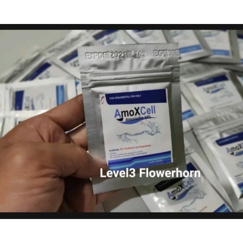 Jual Obat Ikan AmoxCell Antibiotik dan Karantina 10gr Real ! | Shopee ...