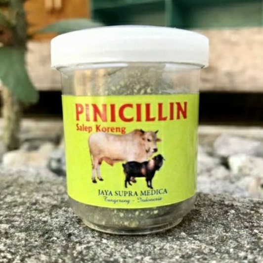 Jual PINICILLIN PINICILIN OBAT SALEP KORENG KUDIS PADA SAPI KERBAU ...