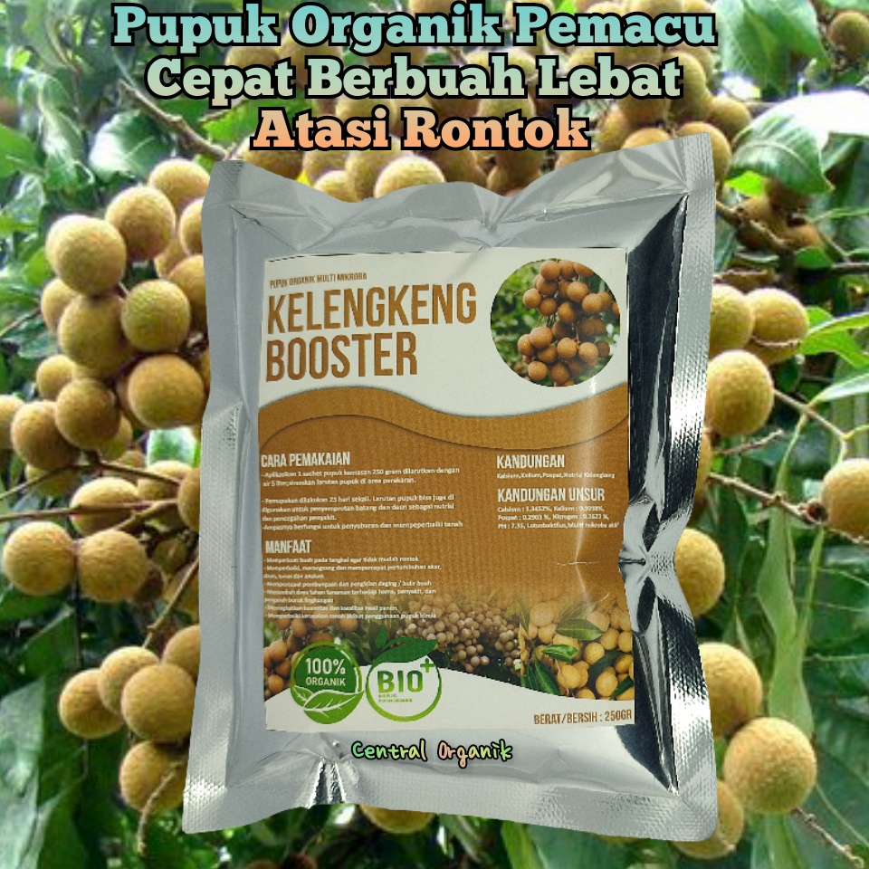 Jual Pupuk Booster Kelengkeng Organik Cepat Berbuah Lebat Anti Rontok | Shopee Indonesia