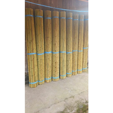 Jual Batang Bambu 2M diameter besar - Bambu Partisi Bambu kuning ...