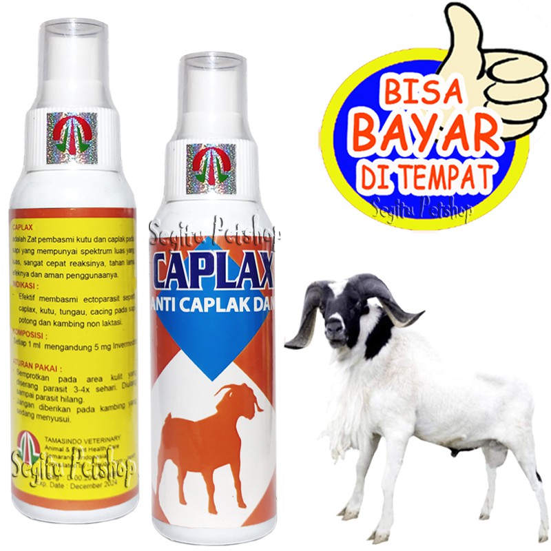 Jual OBAT KUTU KAMBING PEMBASMI PARASIT CAPLAX KAMBING | Shopee Indonesia