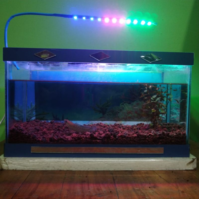 Jual lampu aquarium led tiga warna biru pink hijau 11 titik | Shopee ...