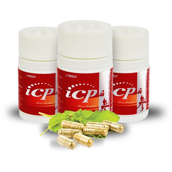 Jual ICP Capsule Asli Isi 30 Kapsul Original | Shopee Indonesia
