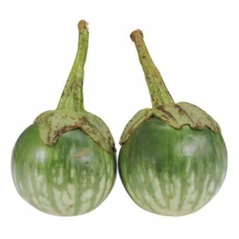 Jual Terong Hijau Buled /1 kg | Shopee Indonesia