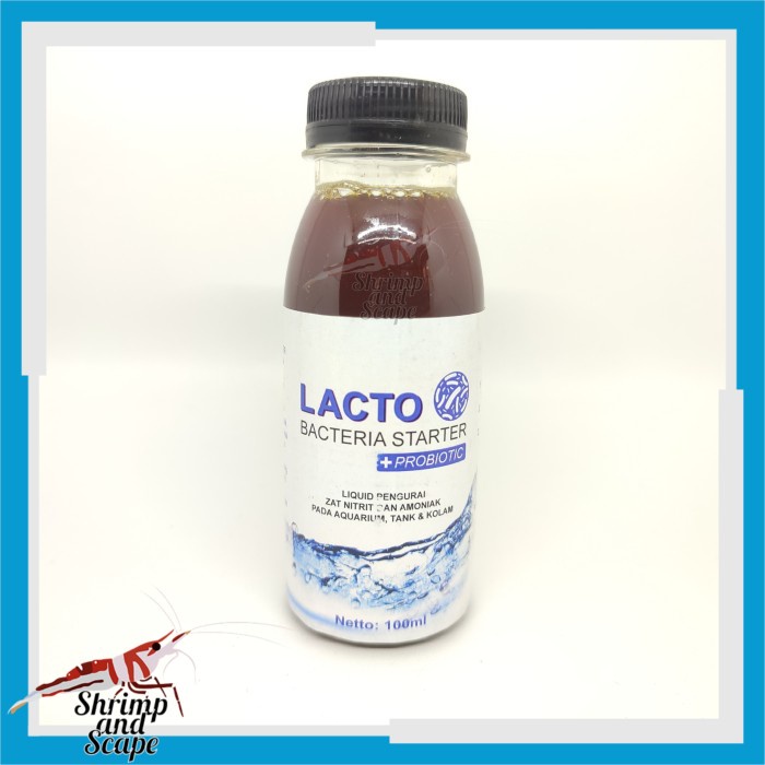 Jual Bakteri Bacteri Starter LACTO LIQUID CAIR Prebiotic Aquarium ...