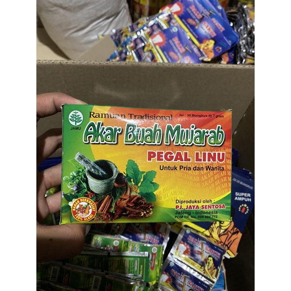 Jual akar buar mujarab original (pegel linu) | Shopee Indonesia