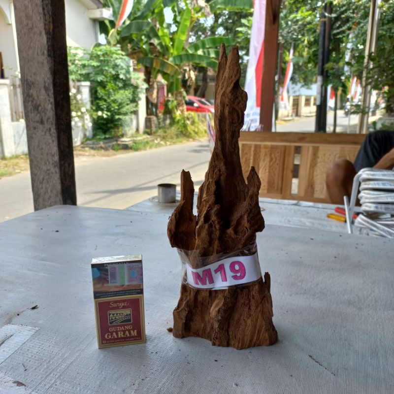 Jual Kayu Rentek Aquascape Ukuran M pilihan | Shopee Indonesia