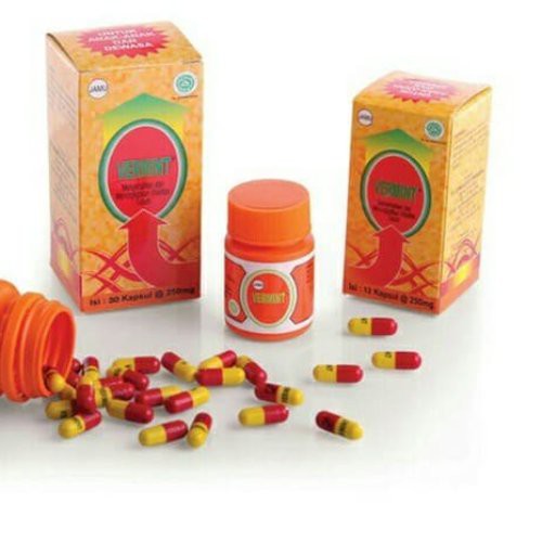 Jual Kapsul Vermin Obat Cacing Untuk Types Dan Demam Isi 12 Kapsul ...