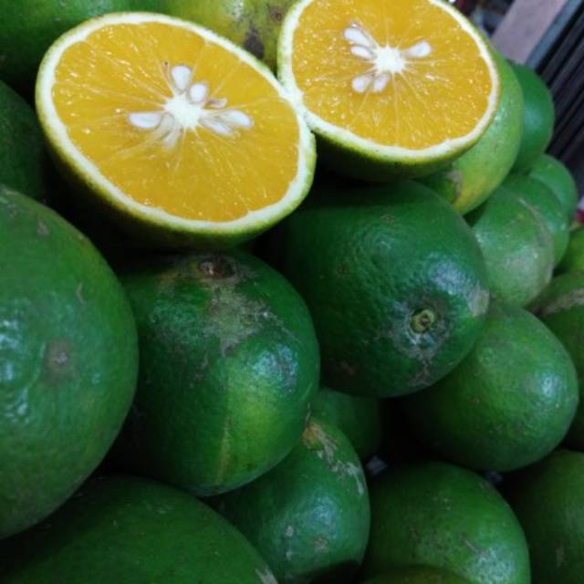 Jual Buah jeruk baby java pacitan manis jeruk mpasi | Shopee Indonesia