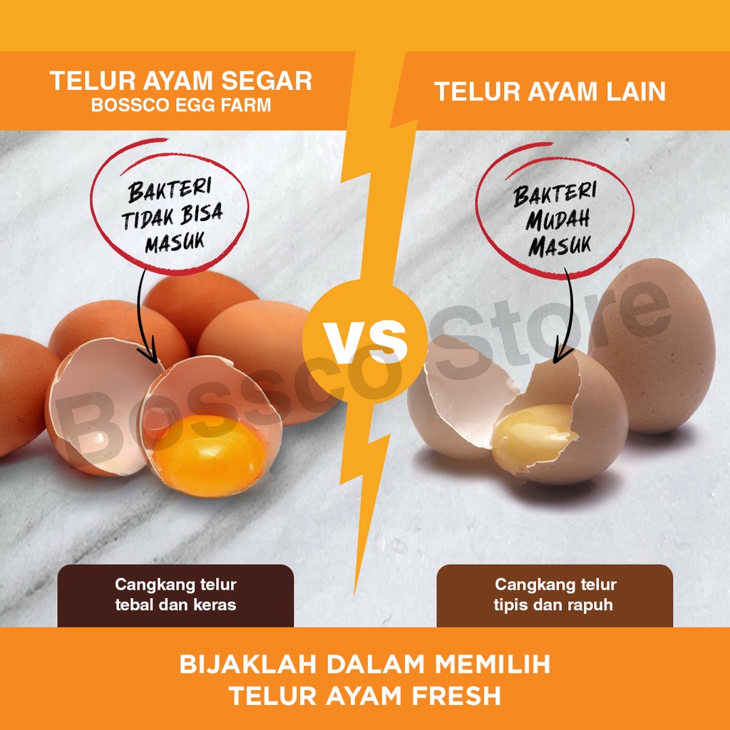 Jual Telur Ayam Negeri FRESH/ telor ayam negri per 1 tray telur ayam ...