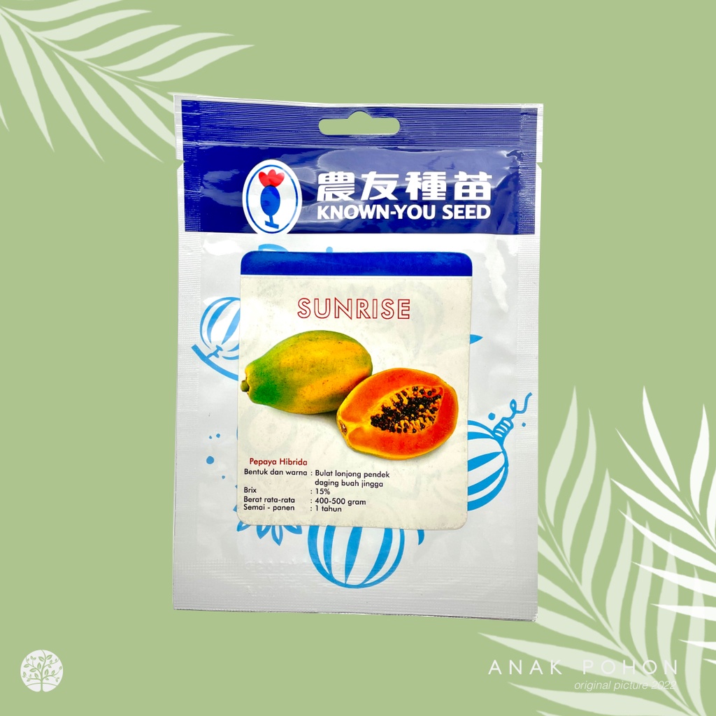 Jual (1 PACK - 60 SEEDS) Benih Pepaya Hawaii SUNRISE Hibrida F1 Seeds - Known You Seed KYS ...