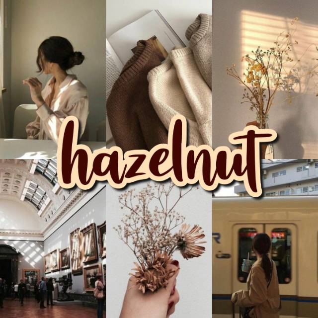 Jual Photo collage (hazelnut pack) || wall decorations || aesthetic ...