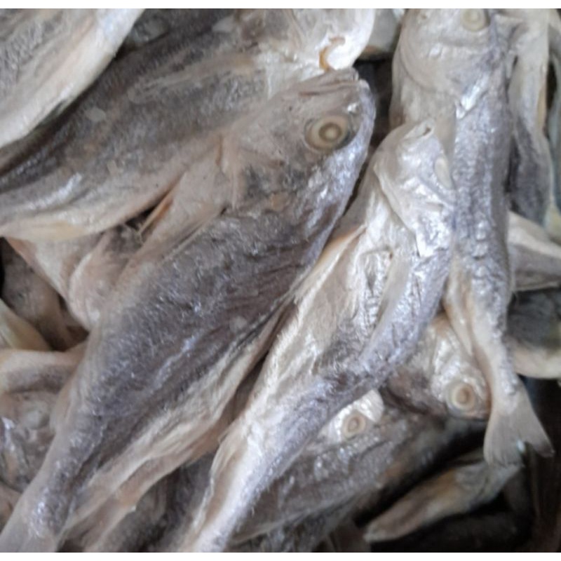 Jual Ikan Asin Samge Kepala Batu 250 gram | Shopee Indonesia