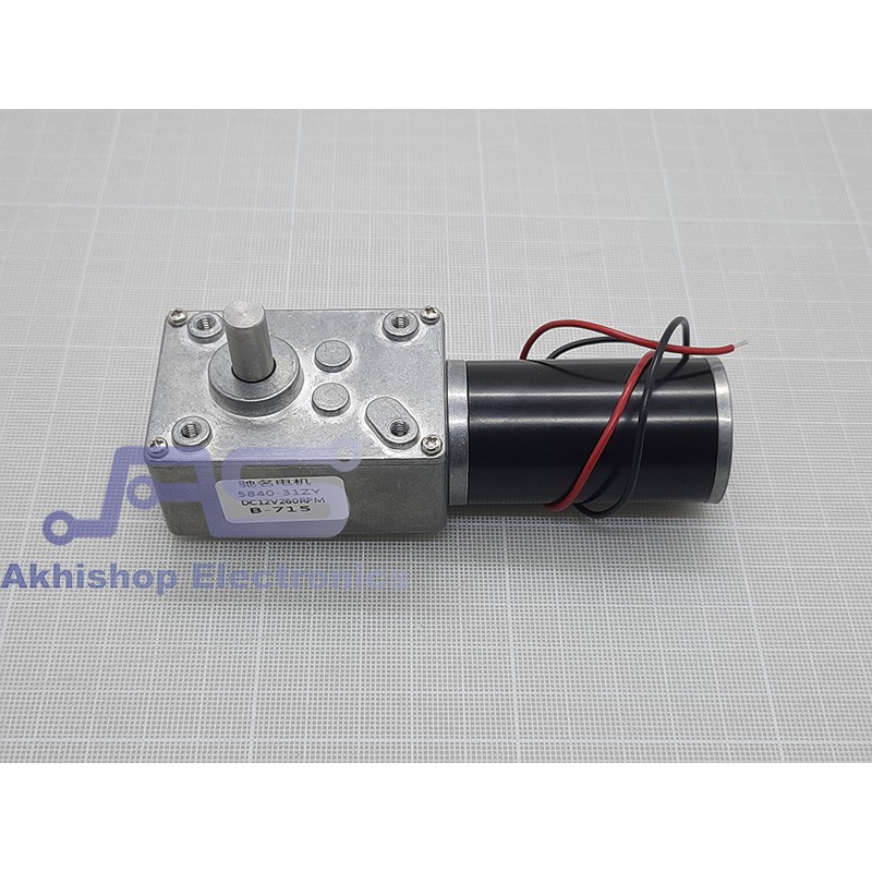 Jual Permanent Magnet Worm Gear Motor DC 4058GW31ZY 12V 260RPM | Shopee ...