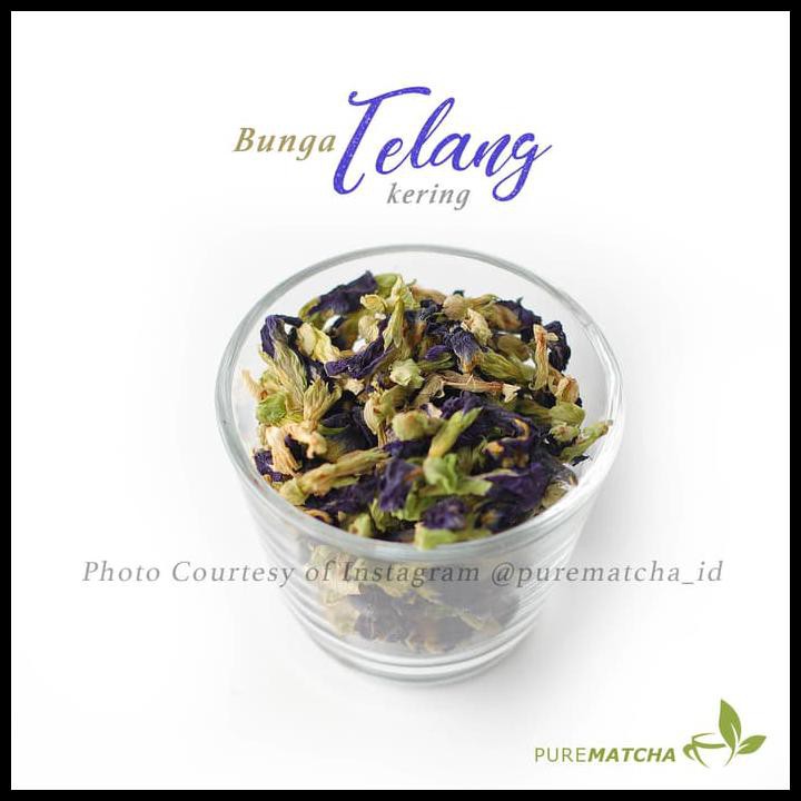 Jual Bunga Telang Teh Clitoria Ternatea Butterfly Pea Blue Tea Teh Biru ...