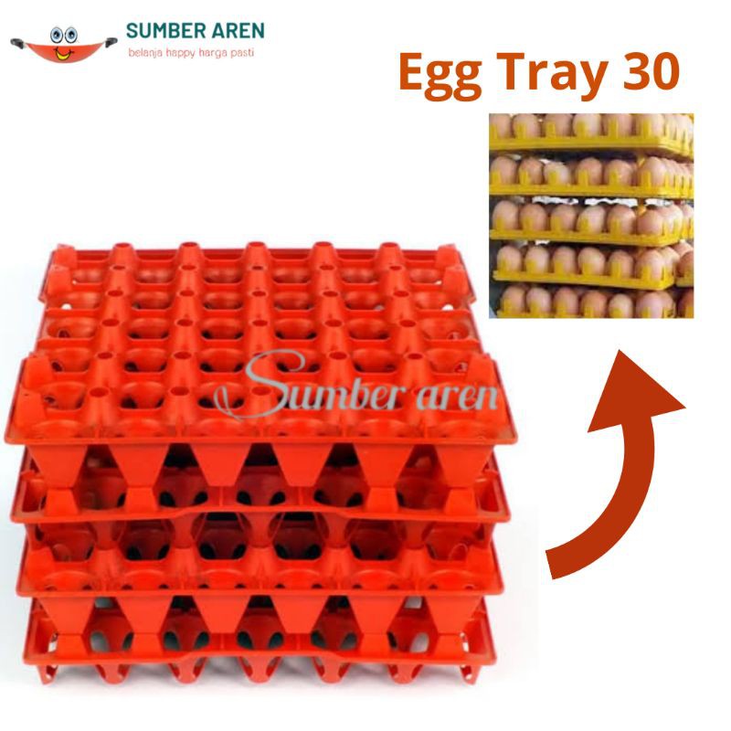Jual Tempat Telur Plastik Rak telur Egg Tray isi 30 Grade | Shopee ...
