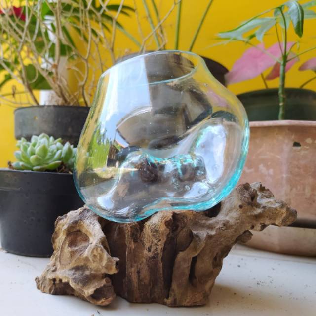 Jual GLASS ON WOOD/AQUARIUM AKAR KAYU/AQUARIUM CUPANG/AQUASCAPE ...