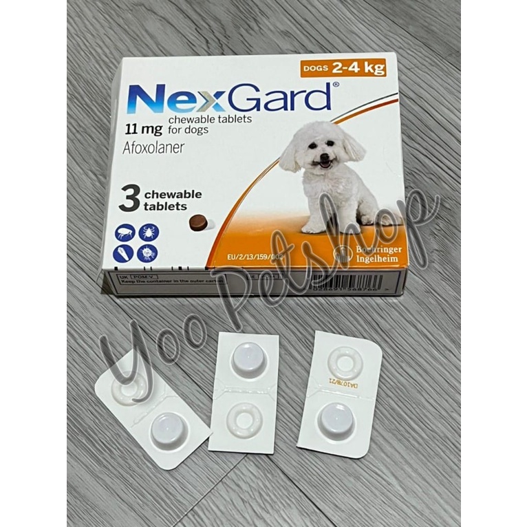 Jual NEXGARD OBAT KUTU ANJING KUNYAH (CHEWABLE TABLETS) - 1 TABLET ORIGINAL | Shopee Indonesia