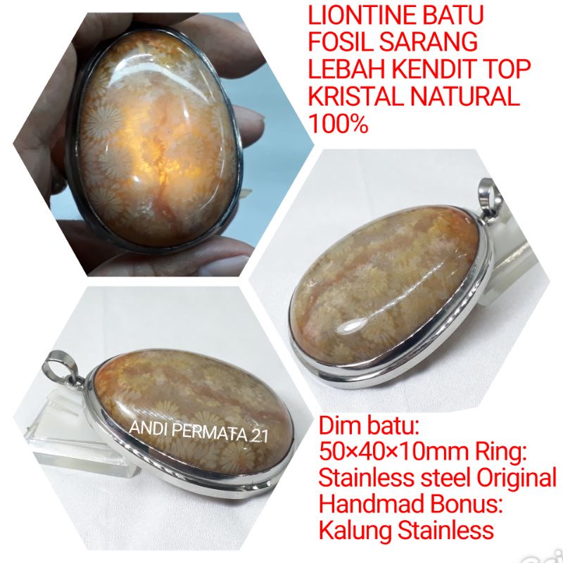 Jual LIONTINE BATU FOSIL SARANG LEBAH NATURAL ALAM 100% | Shopee Indonesia