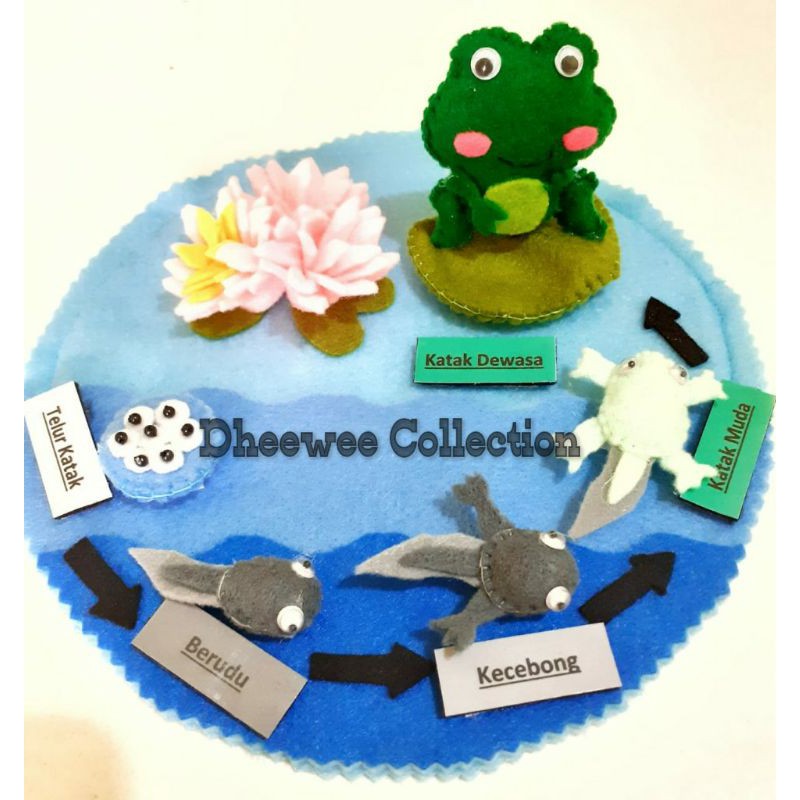 Jual (D.20cm) metamorfosis kupu kupu,katak,lebah dan ayam,capung ...