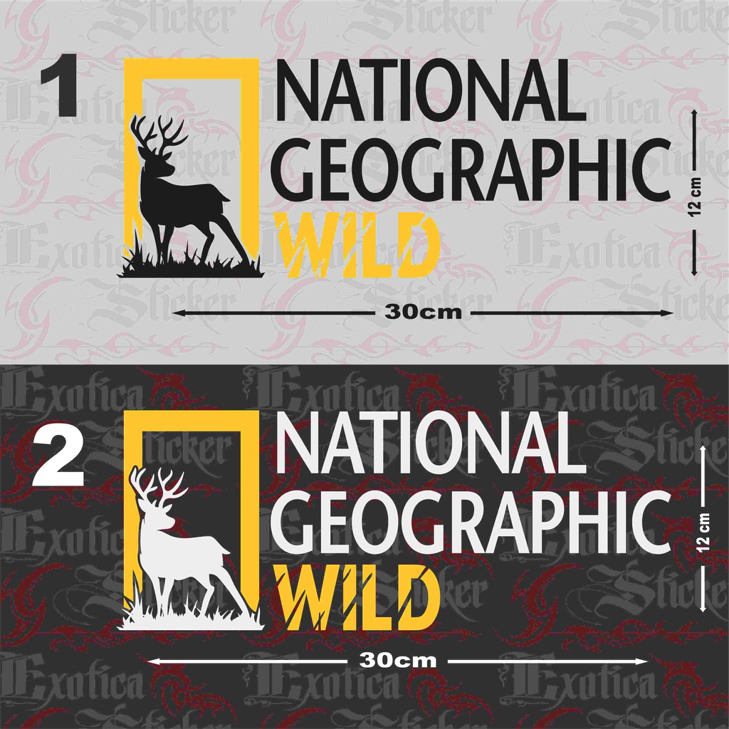 Jual stiker national geographic Wild cutting sticker kaca mobil ...