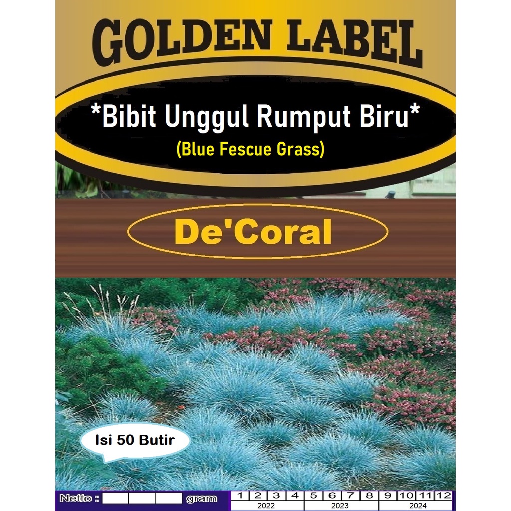 Jual Bibit Unggul Rumput Biru|Blue Fescue Grass|Benih Rumput Biru ...