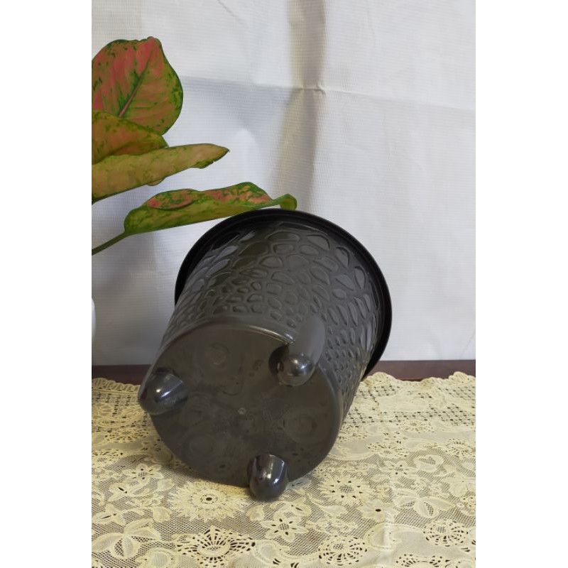 Jual Pot Tanaman-Bunga Coral 20cm 03 Hitam (BJP) | Shopee Indonesia