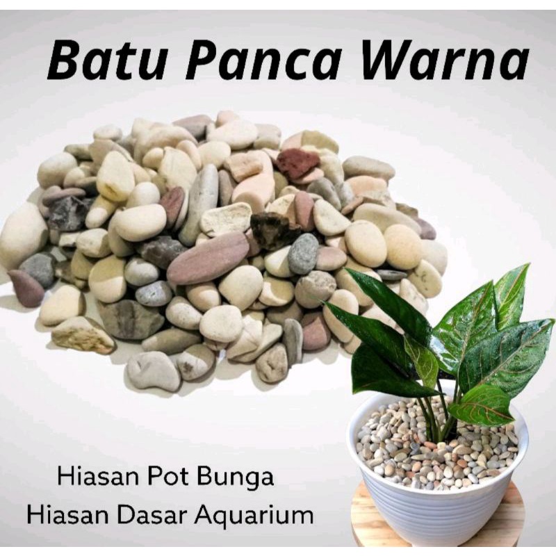 Jual Batu Pancawarna karungan | Shopee Indonesia