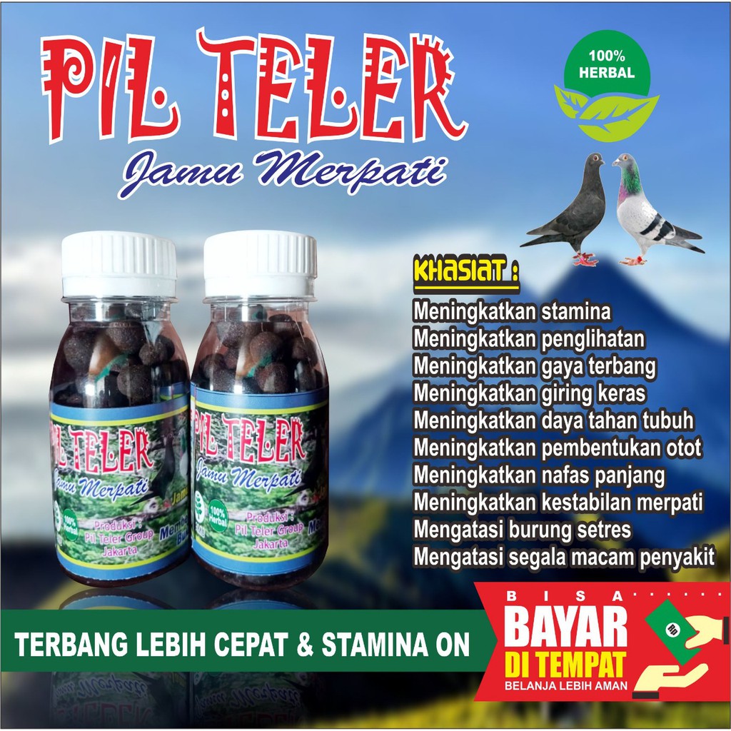 Jual ISI 100 BUTIR JAMU MERPATI PIL TELER/JAMU BURURNG MERPATI BUKAN ...