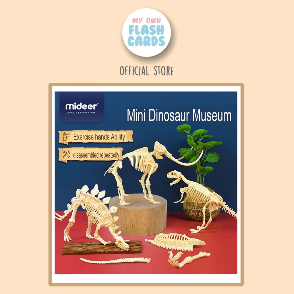 Jual Mideer Mini Dinosaurs Fossils Museum - Mainan Dinosaurus Toy Game ...