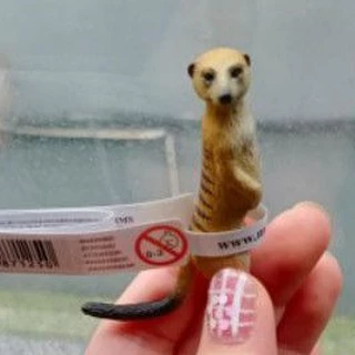 Produk yenhobbyshop | Shopee Indonesia