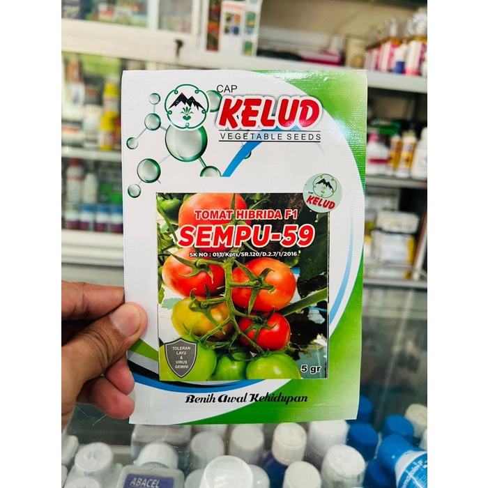 Jual Benih tomat SEMPU 59 isi 5gr dari MMT | Shopee Indonesia