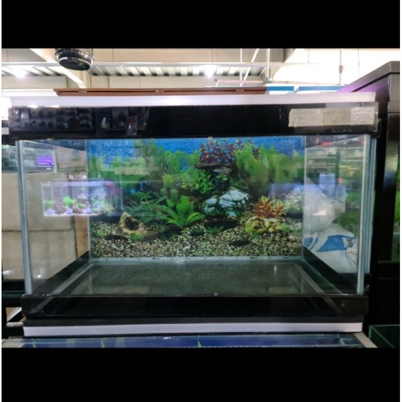 Jual aquarium kaca polos bening / list hitam 30cm | Shopee Indonesia