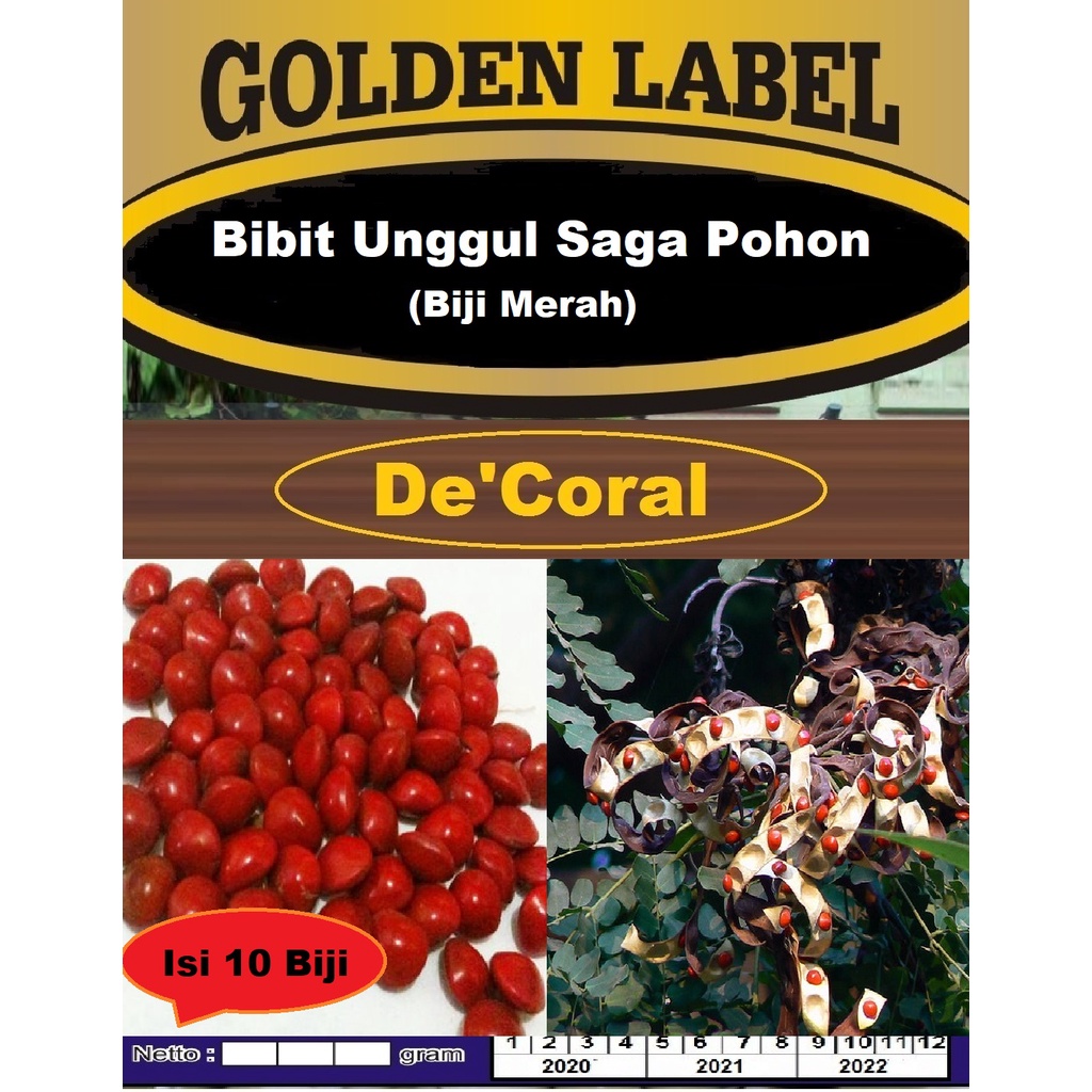 Jual Bibit Saga Pohon Biji Merah Berkualitas | Benih Pohon Saga ...