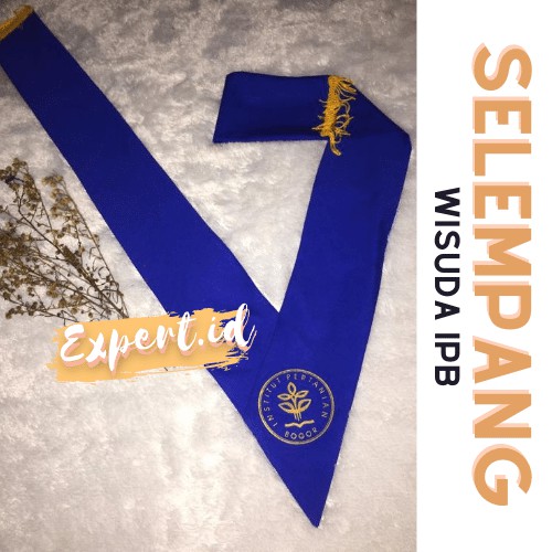 Jual RB SELEMPANG TOGA IPB / TOGA IPB / PAKET SYAL IPB / SLEBER WISUDA ...