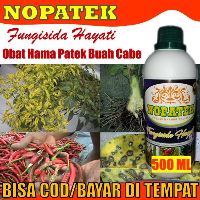 Jual Obat Patek dan Cacar Cabe Rawit Terlaris - Fungisida Hayati Patek ...