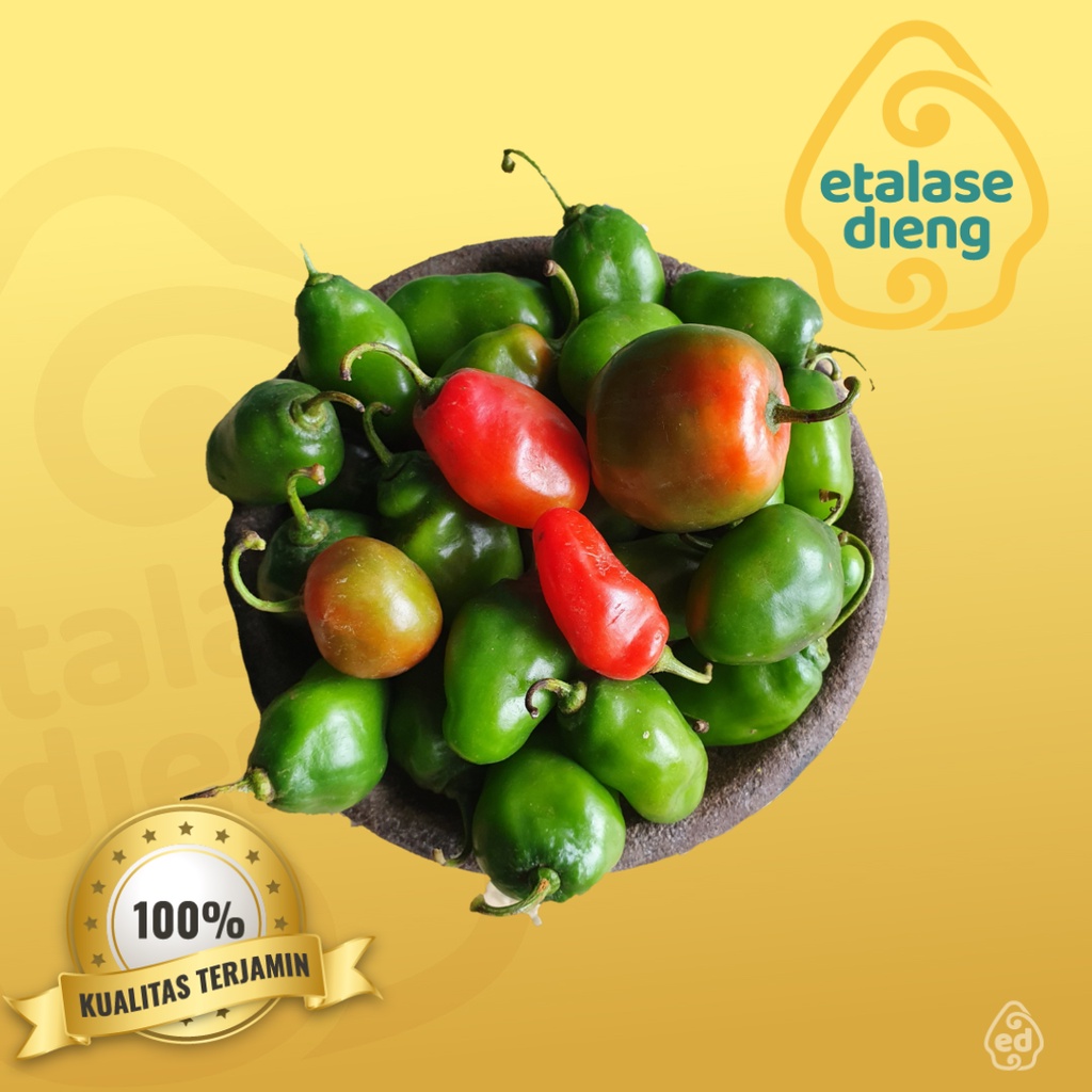 Jual Cabai / Cabe Gendot / Cabe Dieng / Cabe Gendut / Habanero / Cabe ...