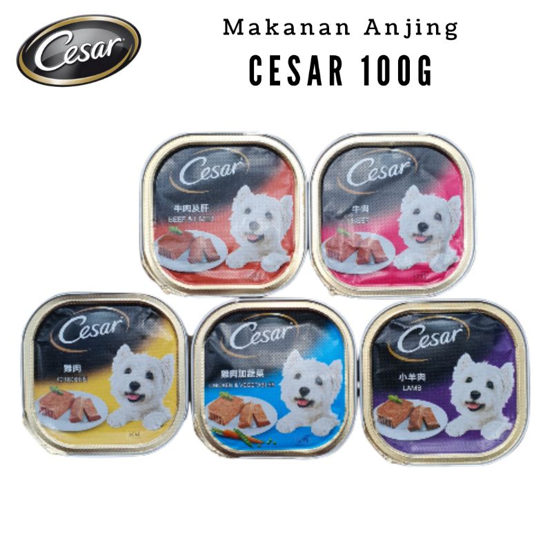 Jual Cesar Dog Food 100g - Makanan Anjing Wet Food | Shopee Indonesia