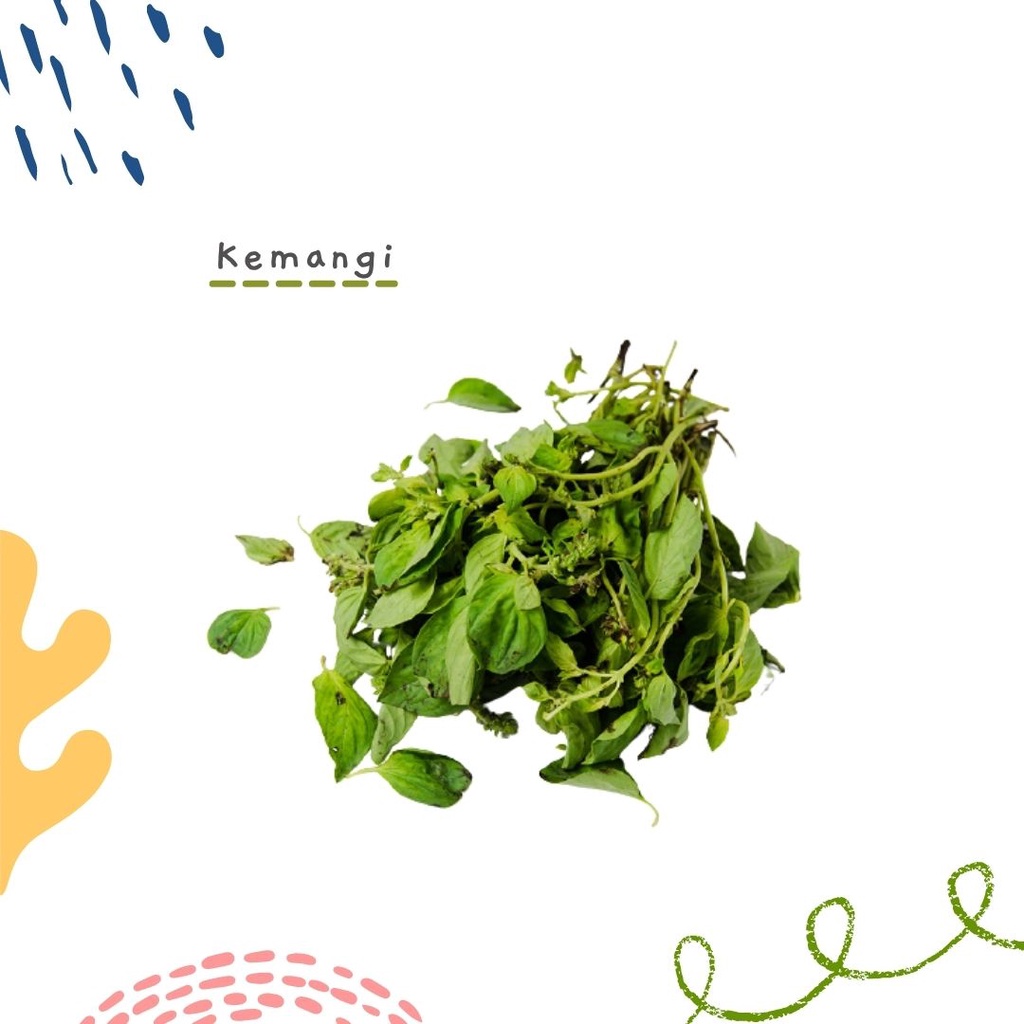 Jual DAUN SEGAR - KEMANGI / LALAP KEMANGI / DAUN KEMANGI 100 GRAM ...