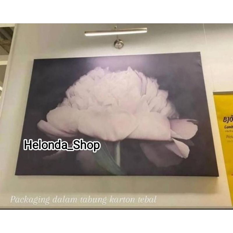 Jual Gambar Bunga Mekar | Shopee Indonesia