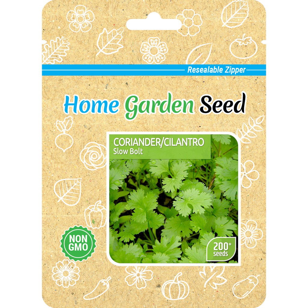 Jual Benih Coriander / Cilantro / Yan Sui - Home Garden Seed | Shopee Indonesia