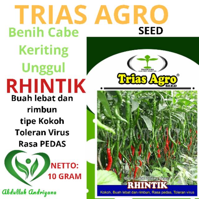 Jual Benih Cabe Keriting Unggul RHINTIK isi 10 Gram Bibit Cabe Keriting ...