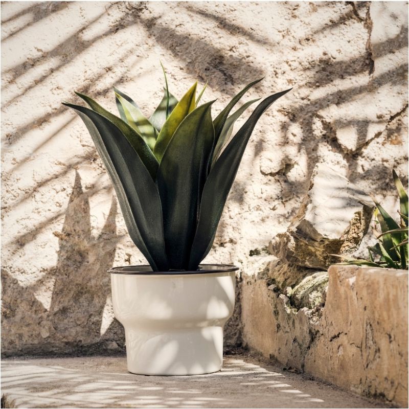 Jual CITRONSYRA IKEA/ Pot Bunga/Pot tanaman diameter 14cm | Shopee ...