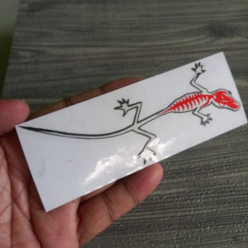 Jual STICKER CICAK CUTTING STICKER CUTTING MOTOR CUTTING STICKER ...