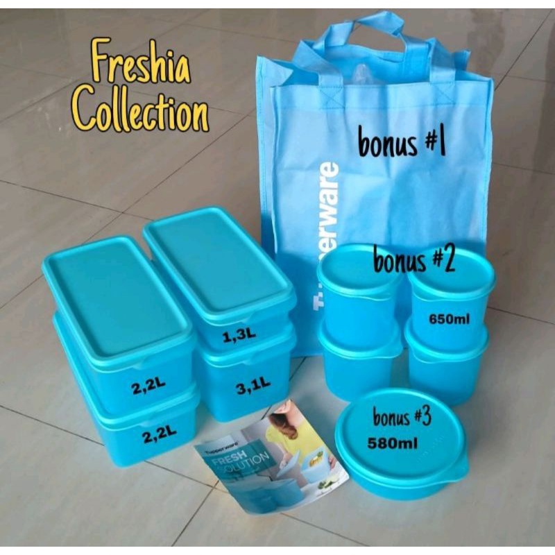 Jual freshia collection set | Shopee Indonesia