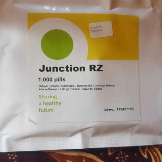 Jual benih selada rz junction jonction 100pil | Shopee Indonesia