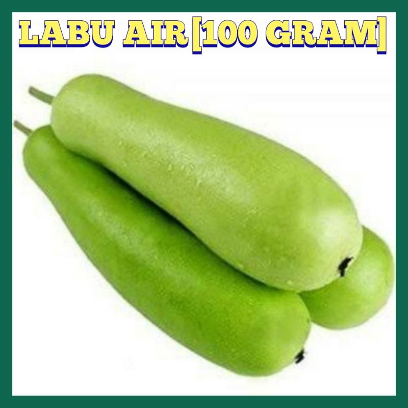 Jual benih/biji labu air ( 100 gram ) | Shopee Indonesia