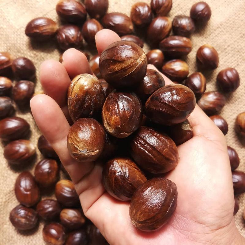 Jual BUAH PALA 1KG/BIJI PALA | Shopee Indonesia